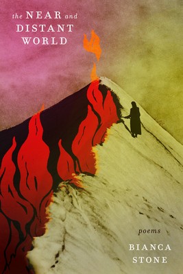 The Near and Distant World | Knygos.lt