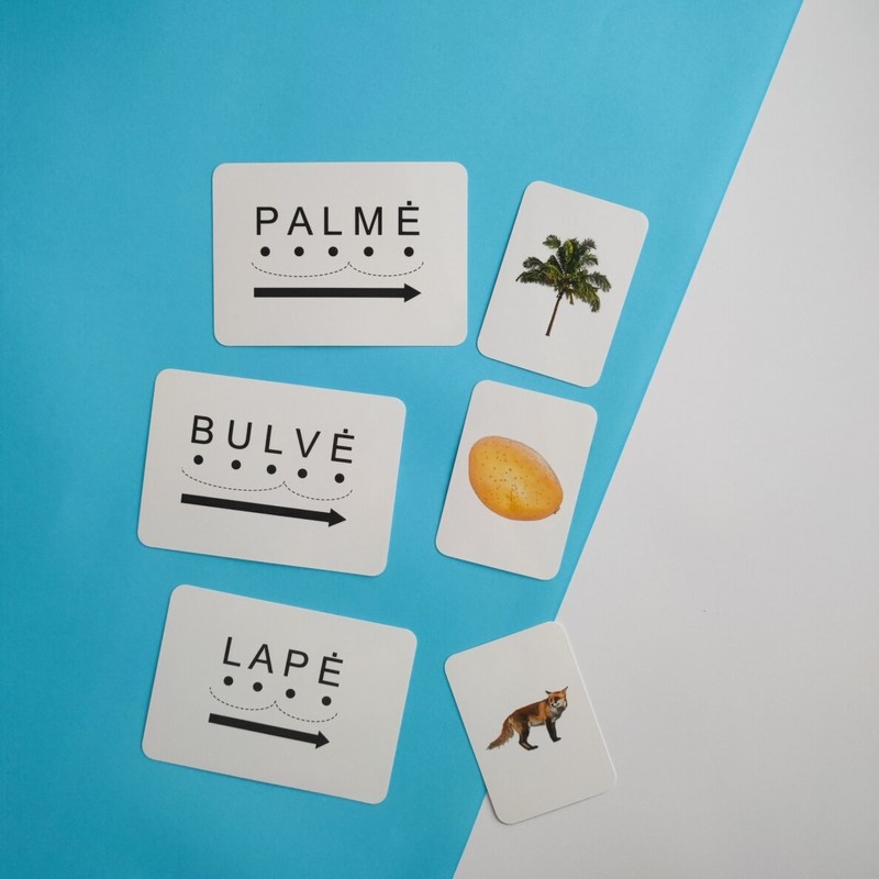 Dviskiemeniai žodžiai. Skaitymo kortelės | Knygos.lt