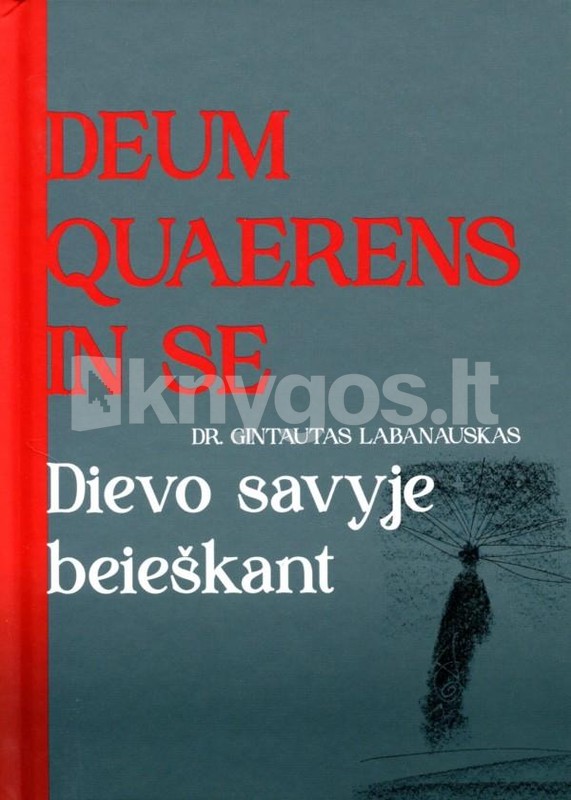 Deum quaerens in se. Dievo savyje beieškant | Knygos.lt