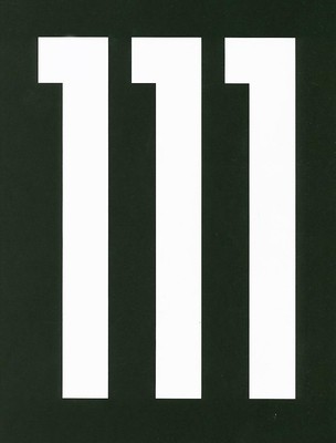 111 Posters | Knygos.lt