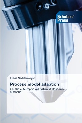 Process model adaption | Knygos.lt