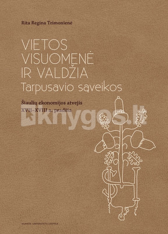 Vietos visuomenė ir valdžia. Tarpusavio sąveikos. Šiaulių ekonomijos ...
