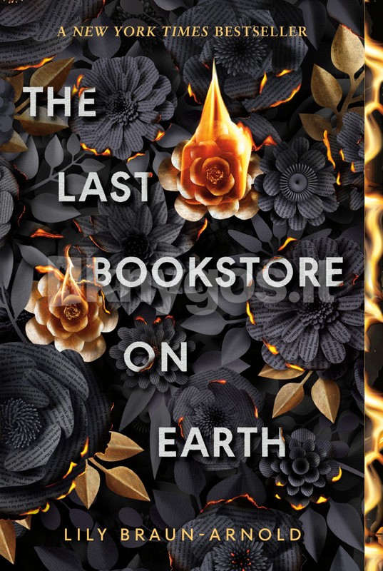 The Last Bookstore on Earth | Knygos.lt