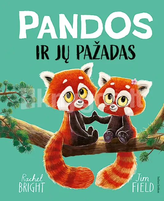 Pandos ir jų pažadas | Knygos.lt