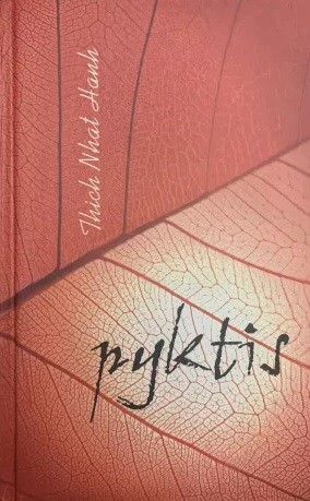 Pyktis (skaityta knyga) | Knygos.lt