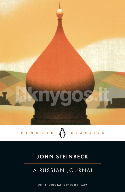 A Russian Journal | Knygos.lt