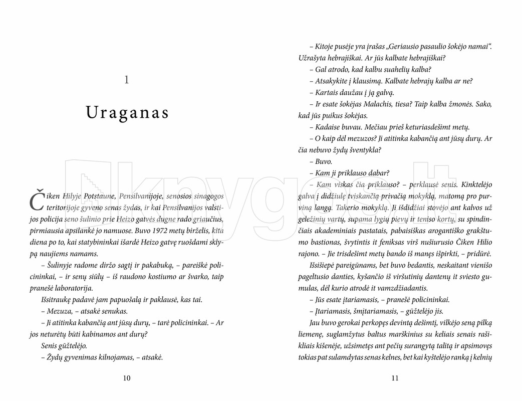 „Dangaus ir žemės“ bakalėja | Knygos.lt