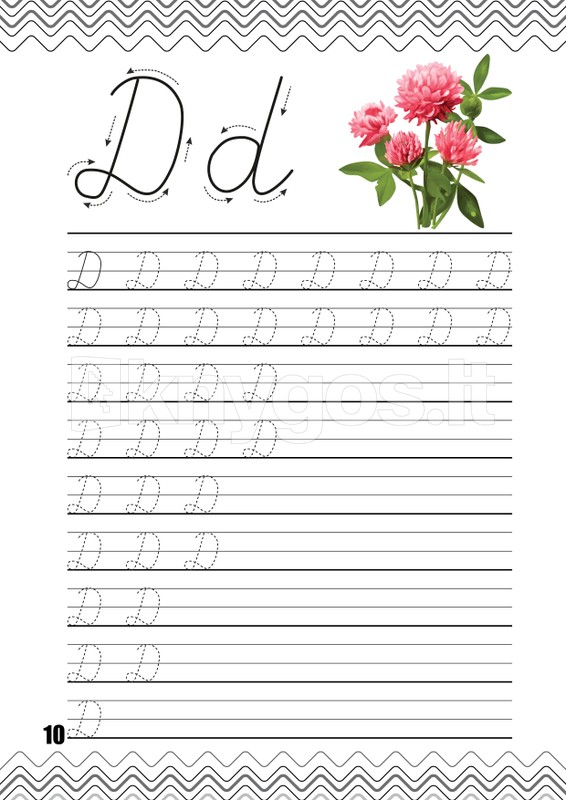 Kivis. Rašytinės raidės | Knygos.lt