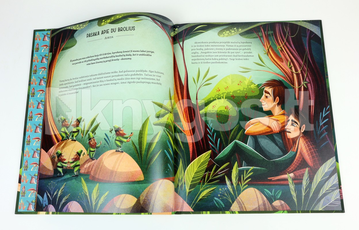 Didžioji miško būtybių knyga (skaityta knyga)