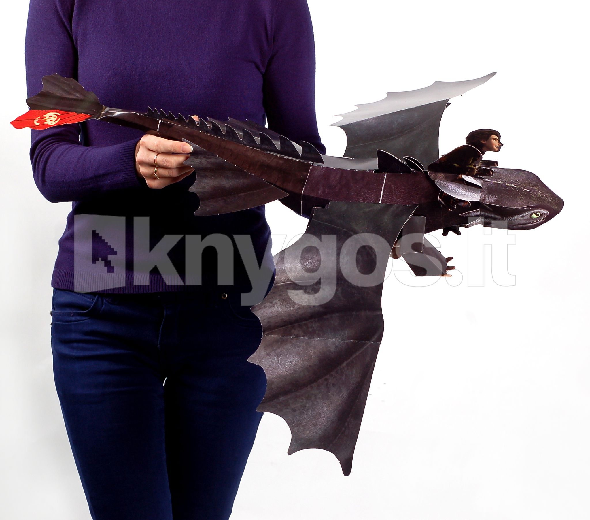 Dragons. KAIP PRISIJAUKINTI SLIBINĄ: dviejų slibinų istorija + unikalus ...