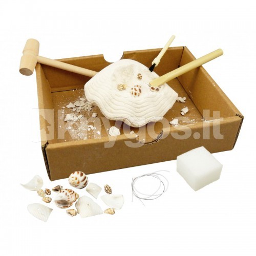 Rinkinys tyrinėjimams „Iškask kriaukles“ | Knygos.lt