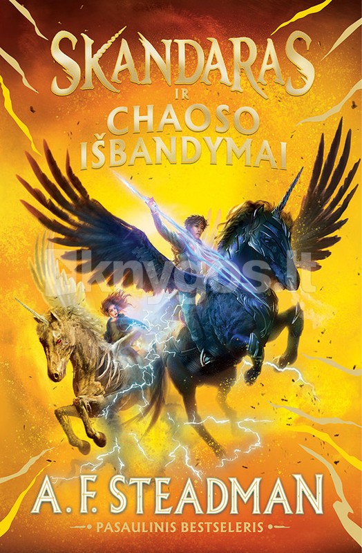 Skandaras ir Chaoso išbandymai. 3 knyga | Knygos.lt