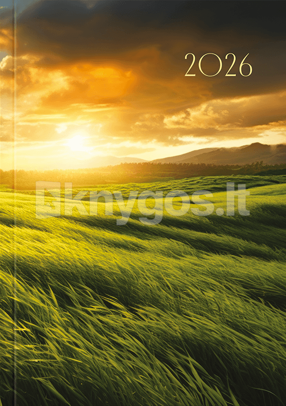 2026-m-a5-darbo-kalendorius-laukai-knygos-lt