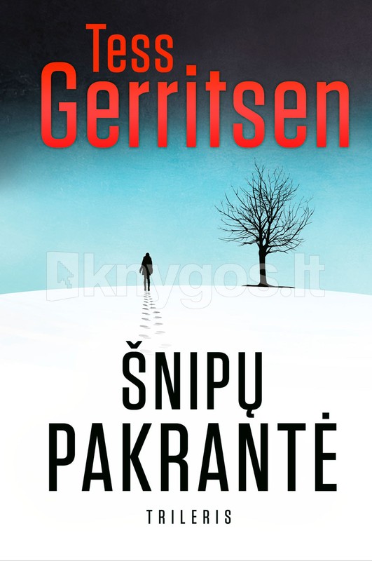 Šnipų pakrantė | Knygos.lt