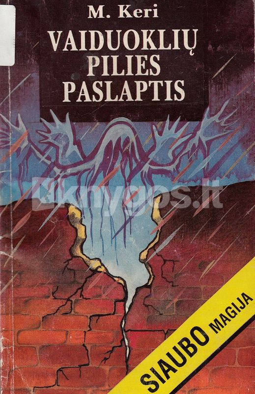 Vaiduoklių pilies paslaptis | Knygos.lt