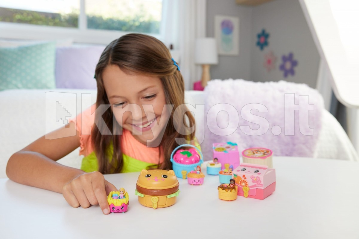 Polly Pocket Tiny Take Out Reveal figūrėlė | Knygos.lt