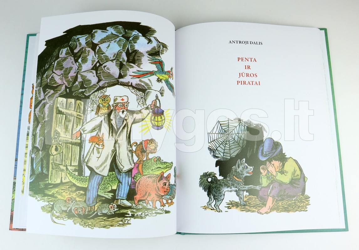 Daktaras Aiskauda | Knygos.lt