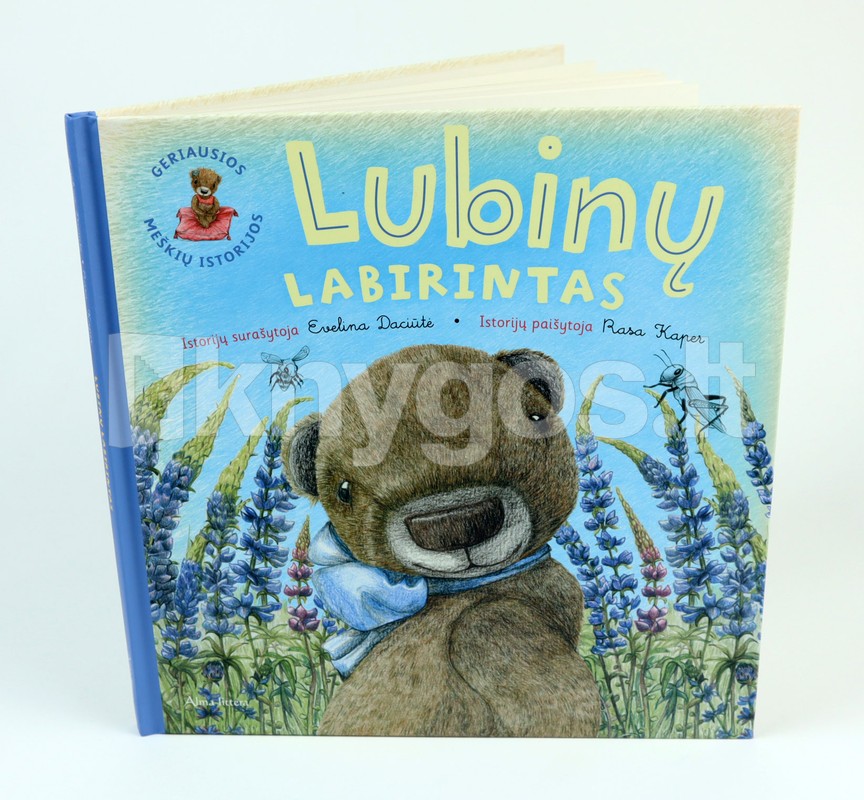 Lubinų labirintas. Geriausios meškių istorijos