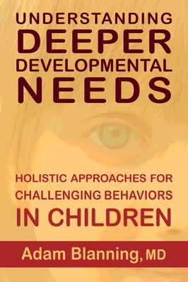 Understanding Deeper Developmental Needs | Knygos.lt
