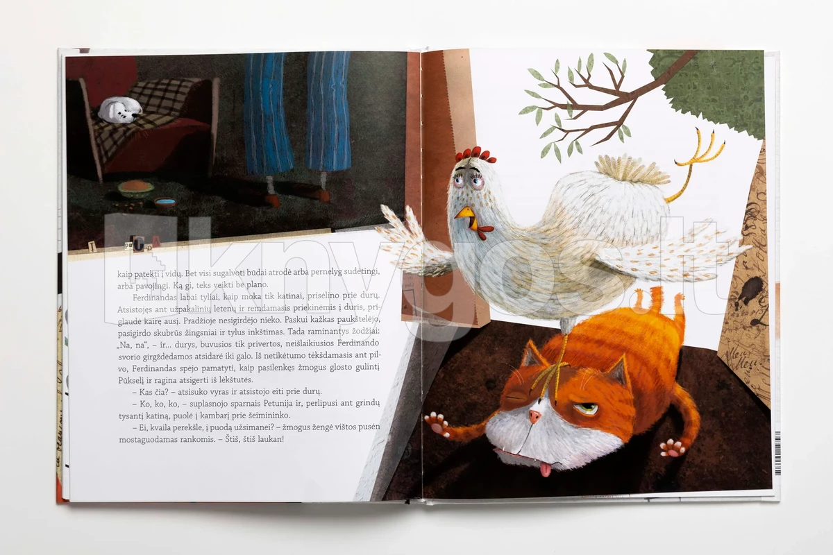 Ferdinandas ir PŪ (skaityta knyga) | Knygos.lt