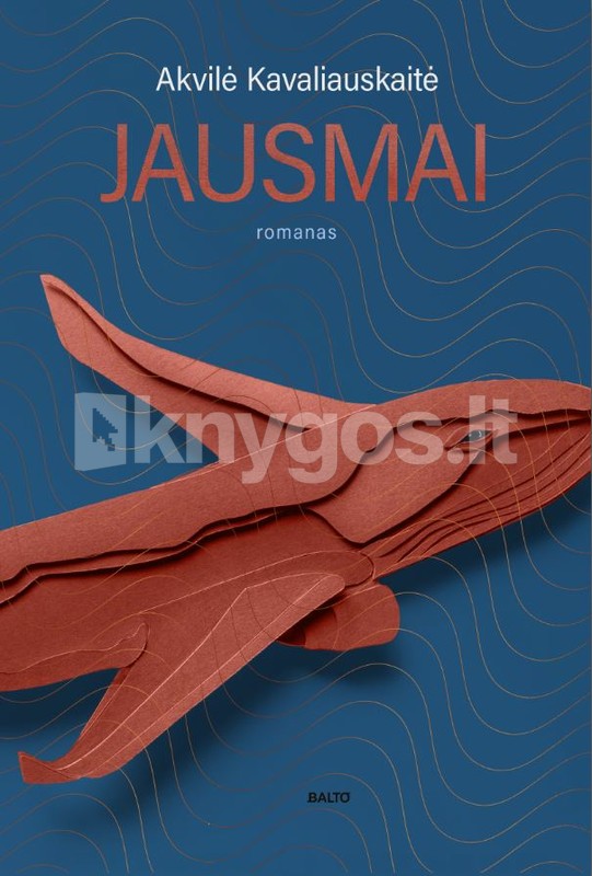 JAUSMAI. Nostalgiškas romanas skraidina į 2009-uosius