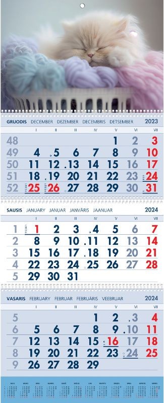 Sieninis kalendorius 2024 m. KATINĖLIS | Knygos.lt