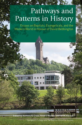 Pathways and Patterns in History | Knygos.lt