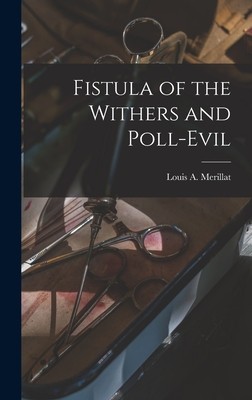 Fistula of the Withers and Poll-evil + NEMOKAMAS ATVEŽIMAS!