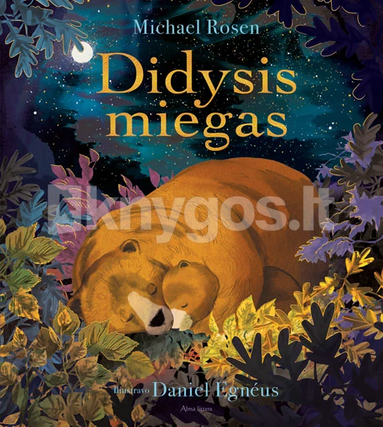 Didysis miegas | Knygos.lt