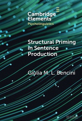 Structural Priming in Sentence Production | Knygos.lt