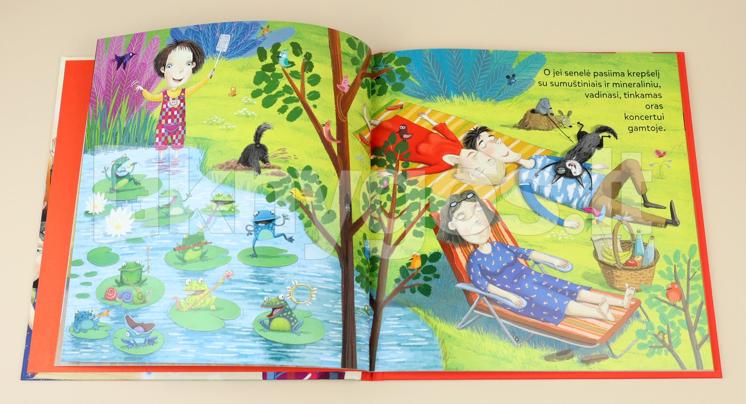 Kakė Makė ir koncerto diena | Knygos.lt