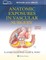 Anatomic Exposures in Vascular Surgery + NEMOKAMAS ATVEŽIMAS!