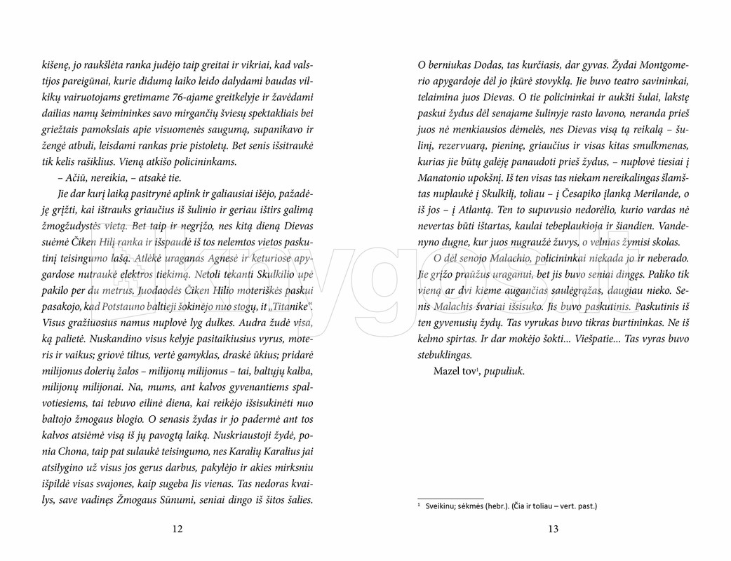 „Dangaus ir žemės“ bakalėja | Knygos.lt
