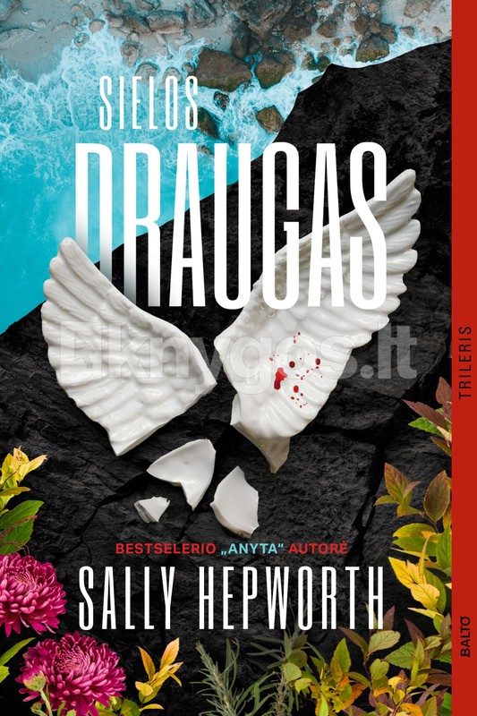 SIELOS DRAUGAS. Bestselerio „Anyta“ autorės knyga