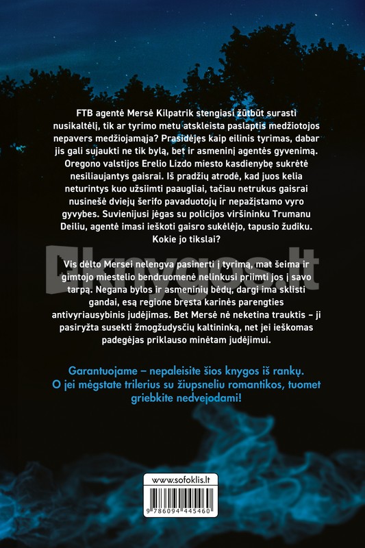 Maloninga tiesa | Knygos.lt