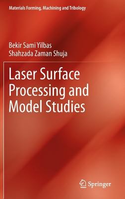 Laser Surface Processing and Model Studies | Knygos.lt