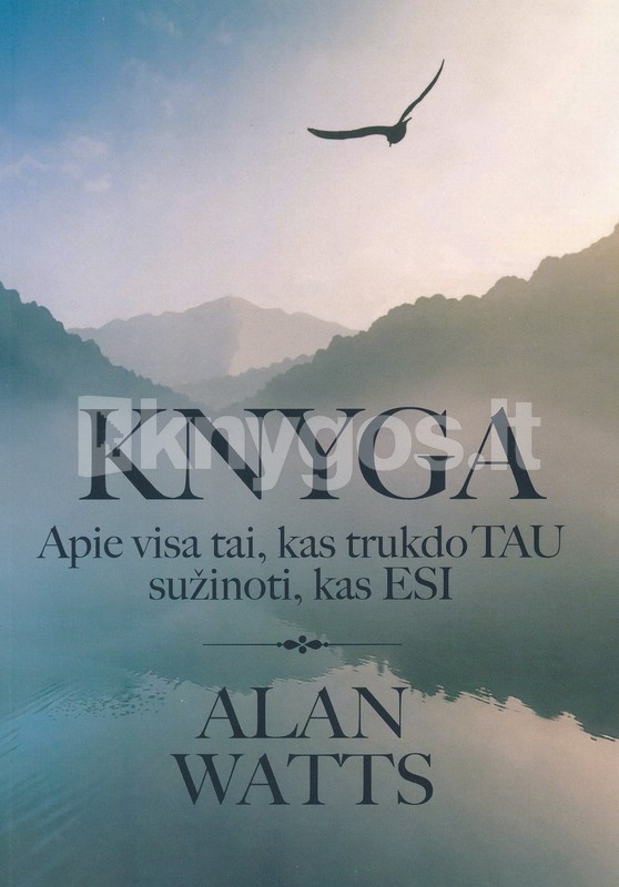 Knyga apie visa tai, kas trukdo TAU sužinoti, kas ESI