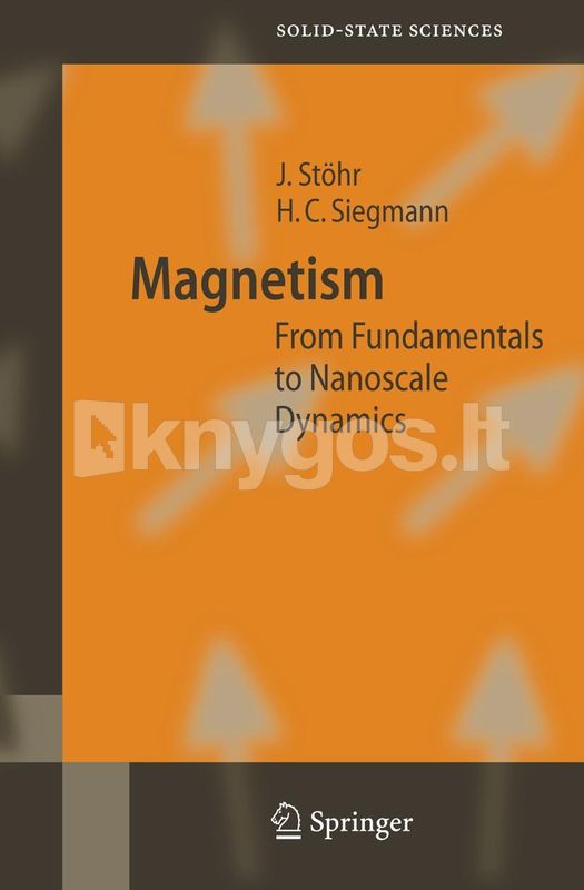 Magnetism | Knygos.lt