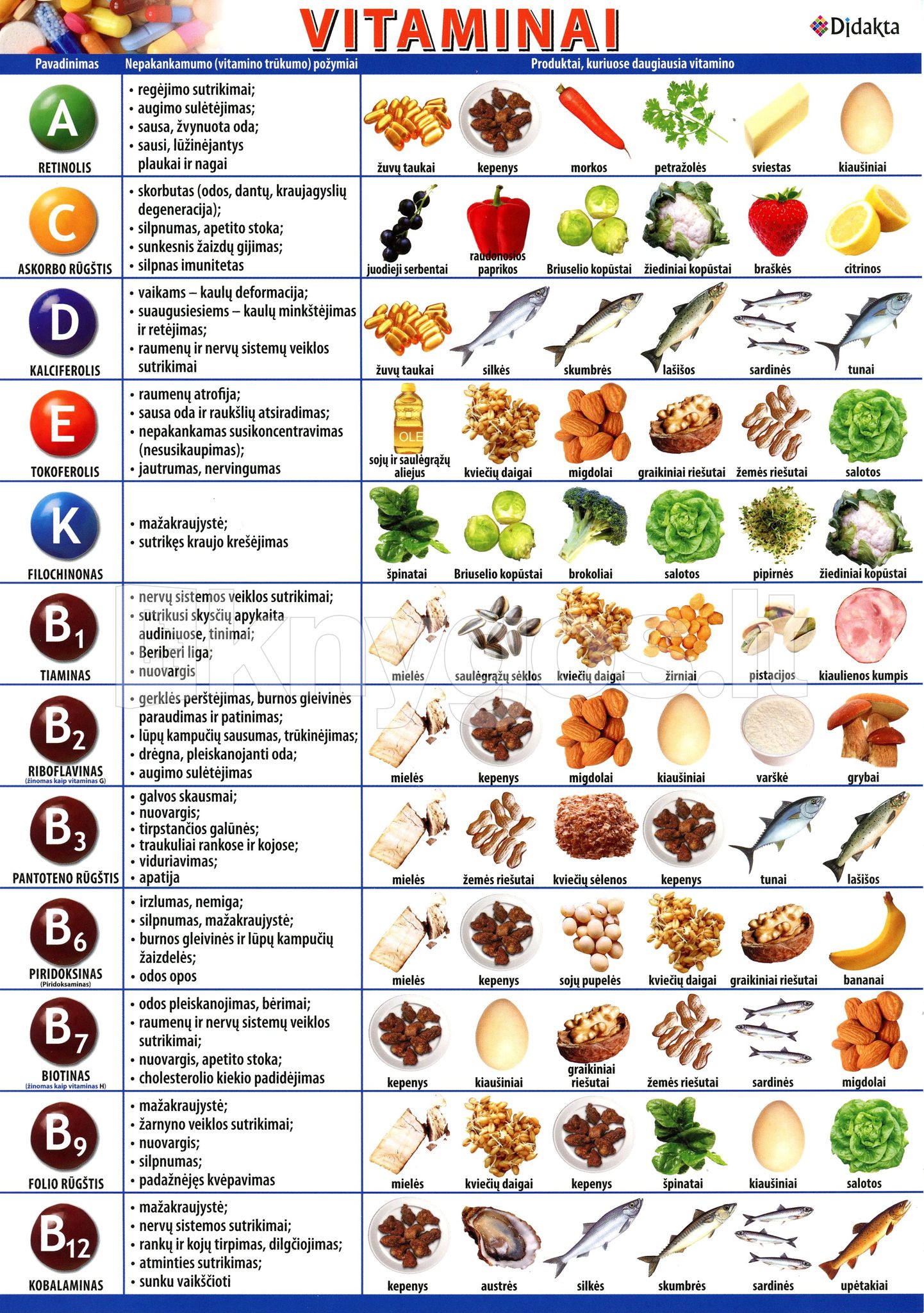 Vitaminai lentelė (A 4) - Knygos.lt