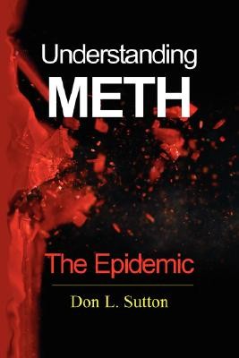 Understanding Meth | Knygos.lt