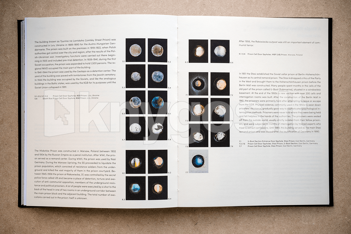 Surveillance: a typology of oppression | Knygos.lt