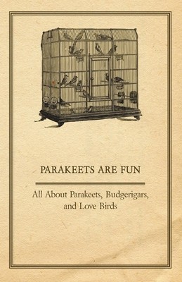 Parakeets are Fun - All About Parakeets, Budgerigars,