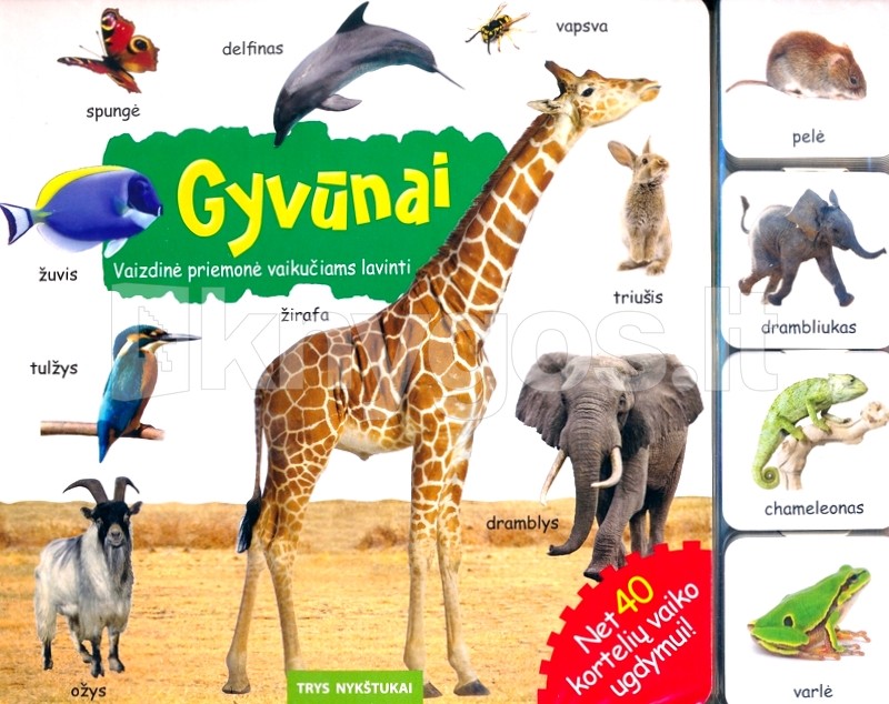 Gyvūnai: vaizdinė priemonė vaikučiams lavinti