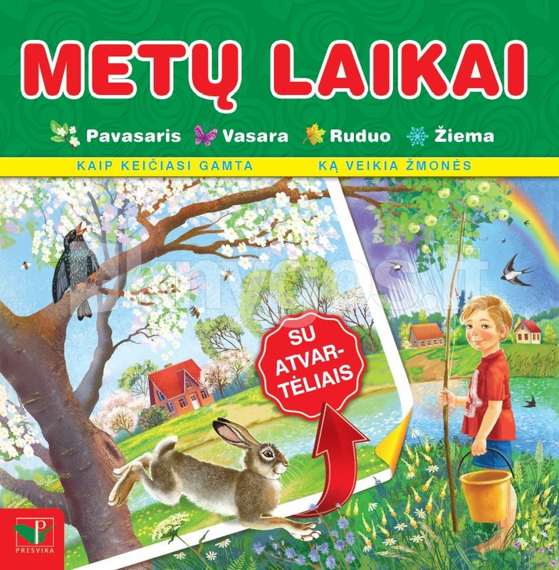 Metų laikai: pavasaris, vasara, ruduo, žiema