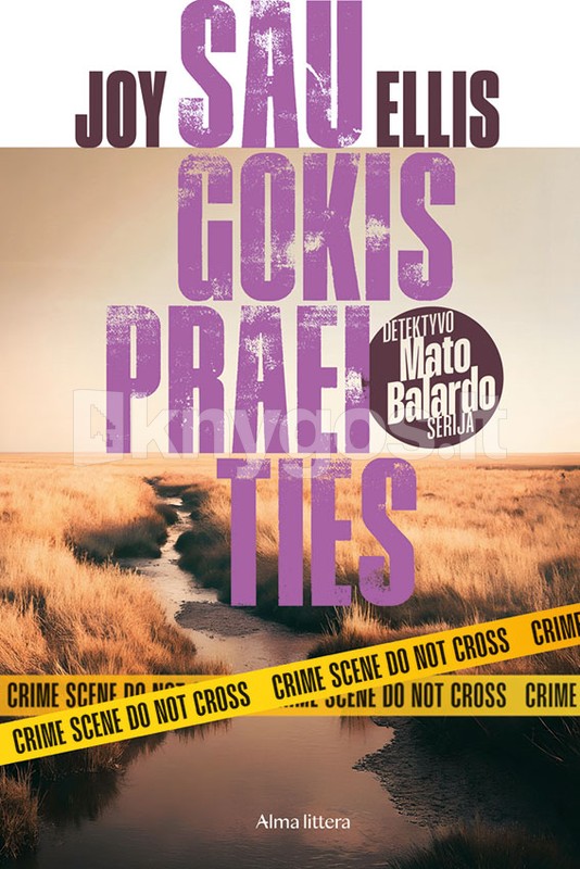 Saugokis praeities. Detektyvo Mato Balardo serija