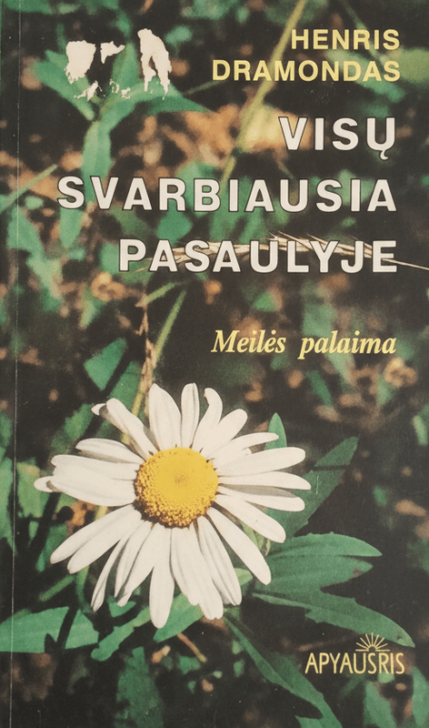 Visų svarbiausia pasaulyje: meilės palaima (skaityta knyga)