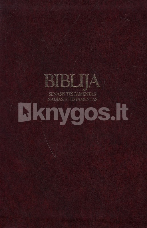 Biblija. Senasis Testamentas. Naujasis Testamentas