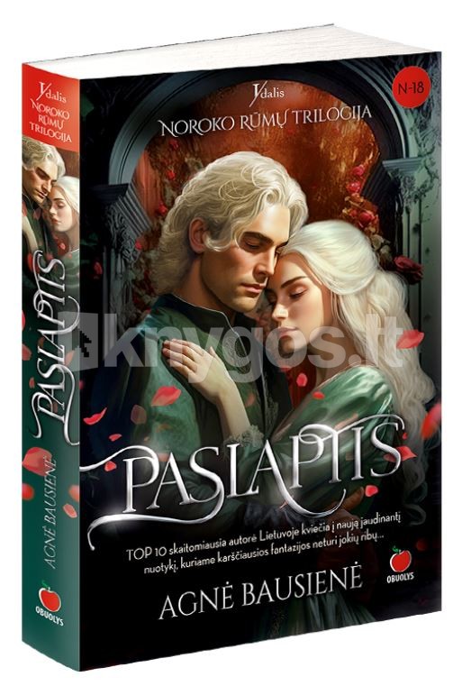 PASLAPTIS. Noroko rūmų trilogija. 1 dalis | Knygos.lt