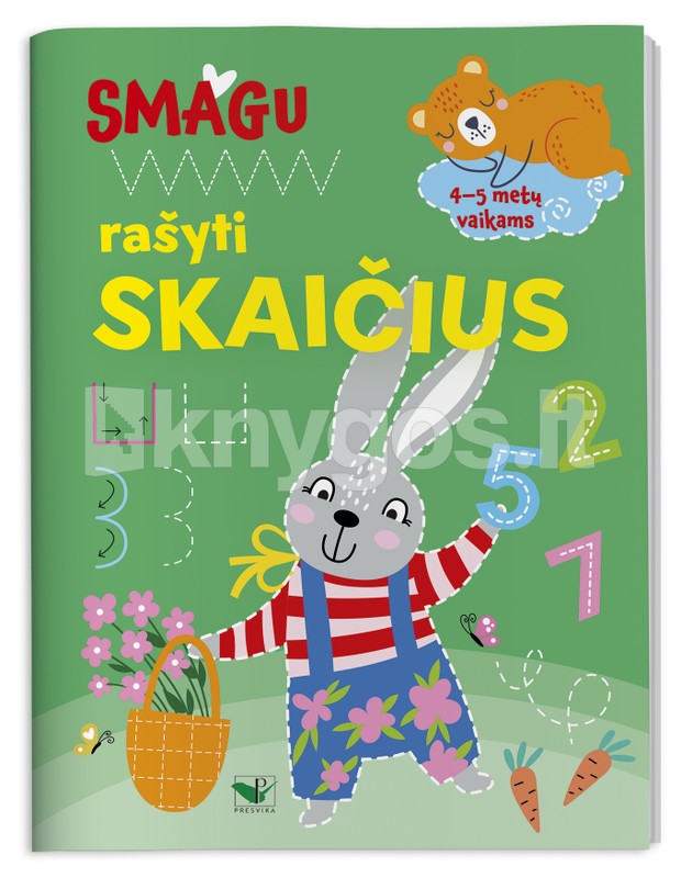 Smagu rašyti skaičius. 4–5 metų vaikams | Knygos.lt