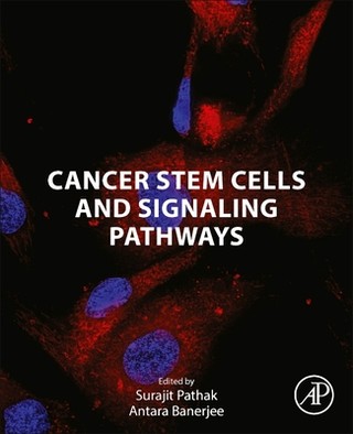 Cancer Stem Cells and Signaling Pathways | Knygos.lt